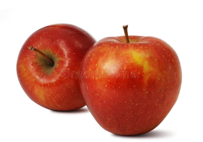 Red sweet apples stock image. Image of ecosystem, close - 10958713