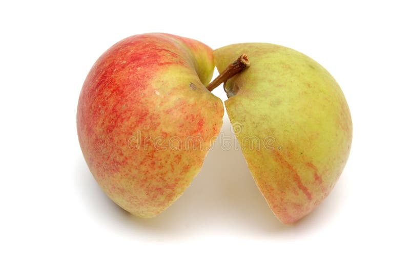 Two apple halves stock photo. Image of conceptual, concept - 1305388