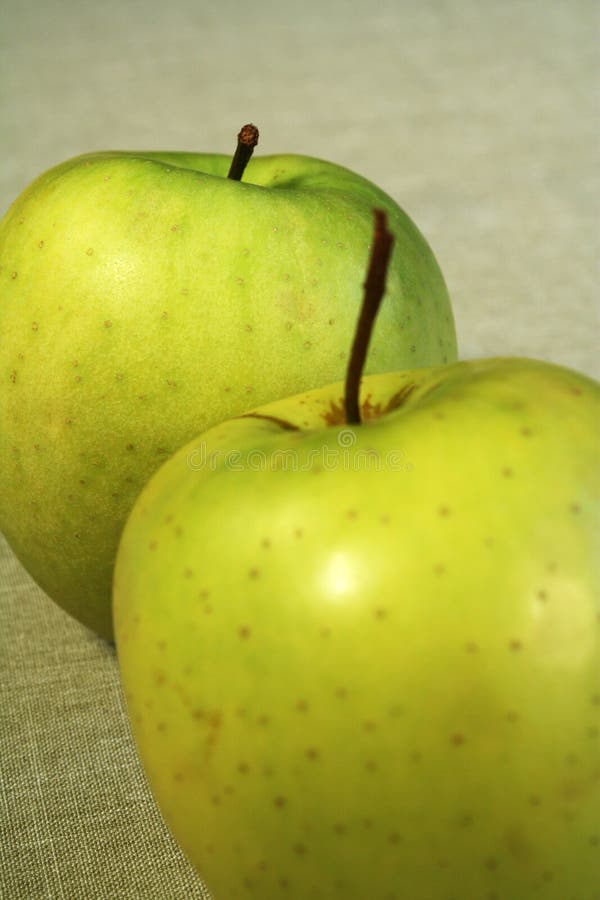 Two apples stock photo. Image of freshness, healthy, food - 14122066