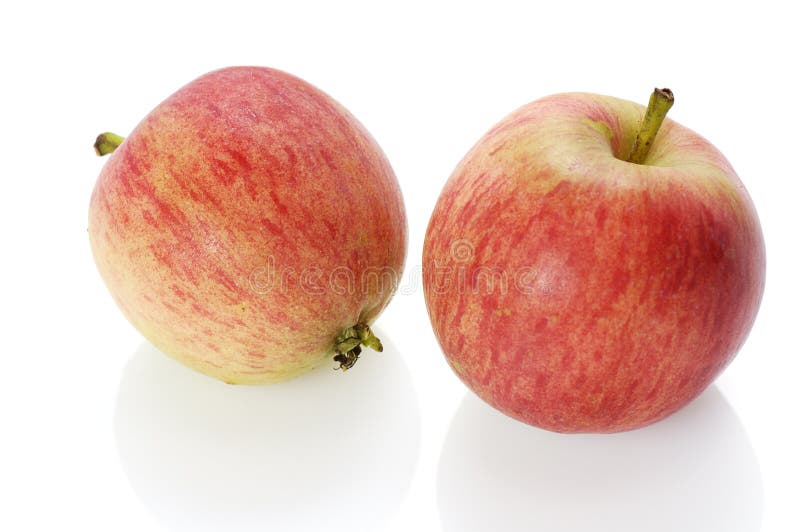 Two apples stock photo. Image of fruits, sweet, freshness - 3069436