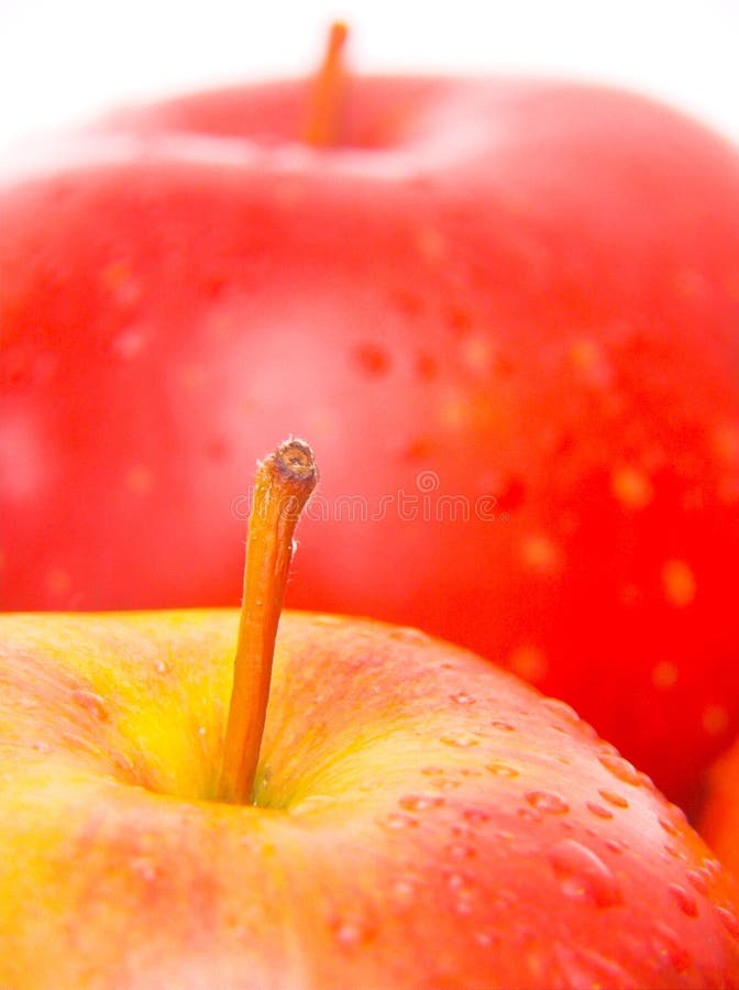 Two Apples Picture. Image: 3377075