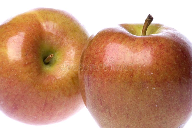 Two apples stock image. Image of brown, reddish, fruit - 6900871