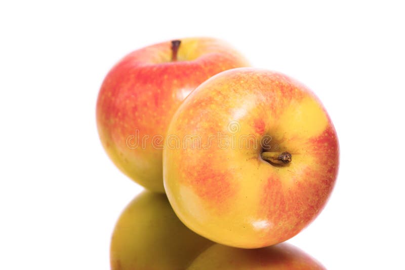 Two apples stock photo. Image of juicy, nutrition, diet - 7288010