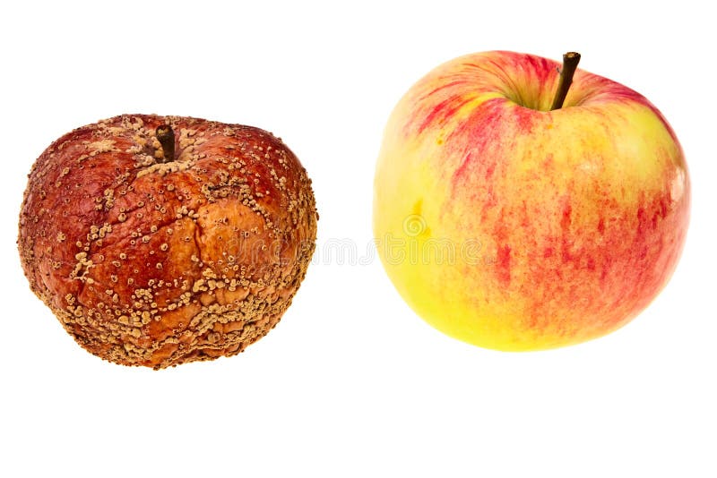 699 Rotten Fresh Apple Isolated Stock Photos - Free & Royalty-Free ...
