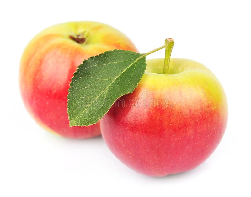Two apples with leaves stock image. Image of delicious - 27439909