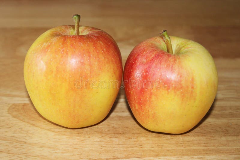 Two apples on table stock photo. Image of ripe, apple - 22063866