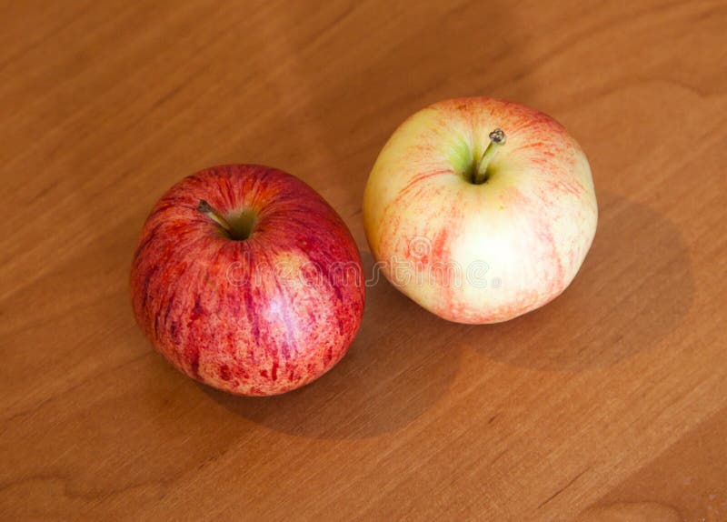 Two apples stock image. Image of round, apples, composition - 79555333