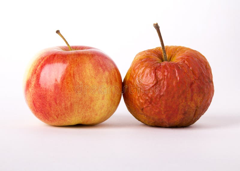 Two apples stock photo. Image of useless, metaphor, health - 35050504