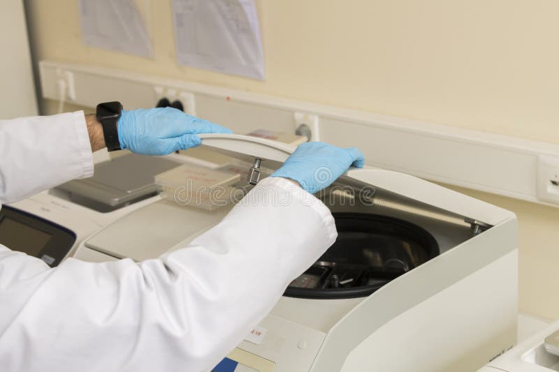 Two Arms of a Lab Technician and Both Hands with Blue Nitril Gloves ...