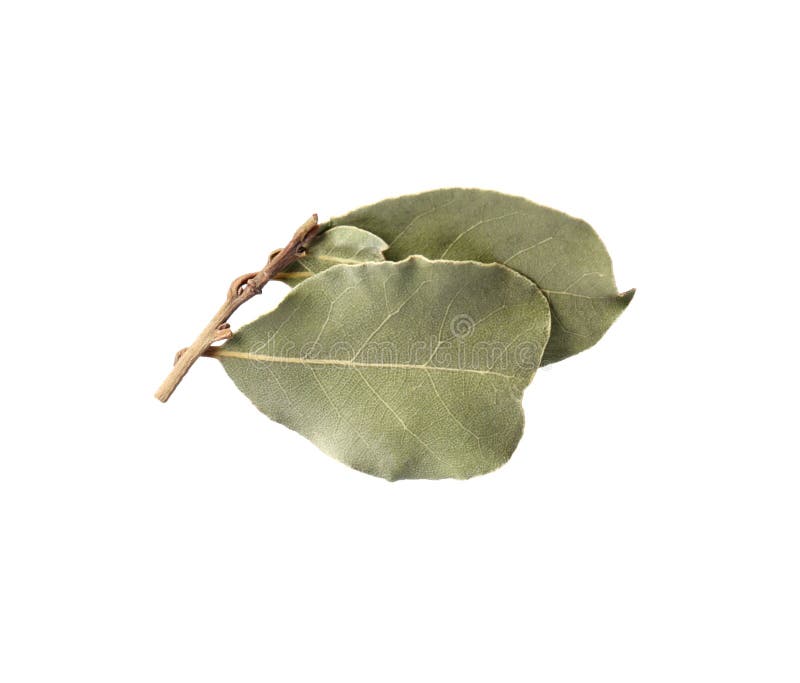 Two Aromatic Bay Leaves on White Background Stock Photo - Image of ...