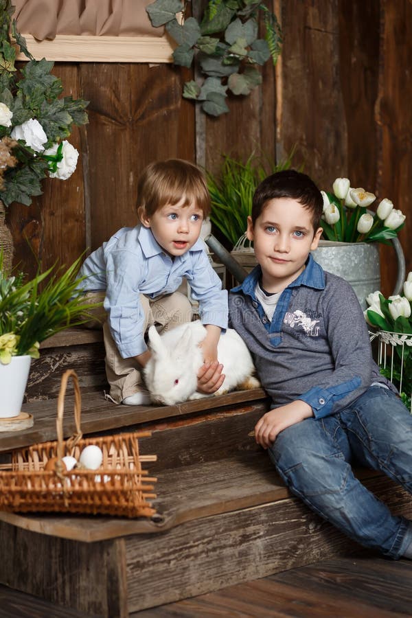 Rabbit Brothers Playing Together Stock Image - Image of recreation ...