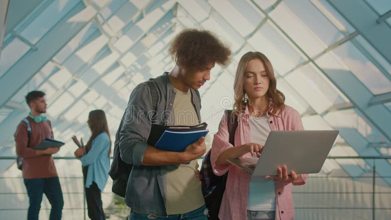 Two Attractive Students Guy and Girl Using Notebook during Video Call ...