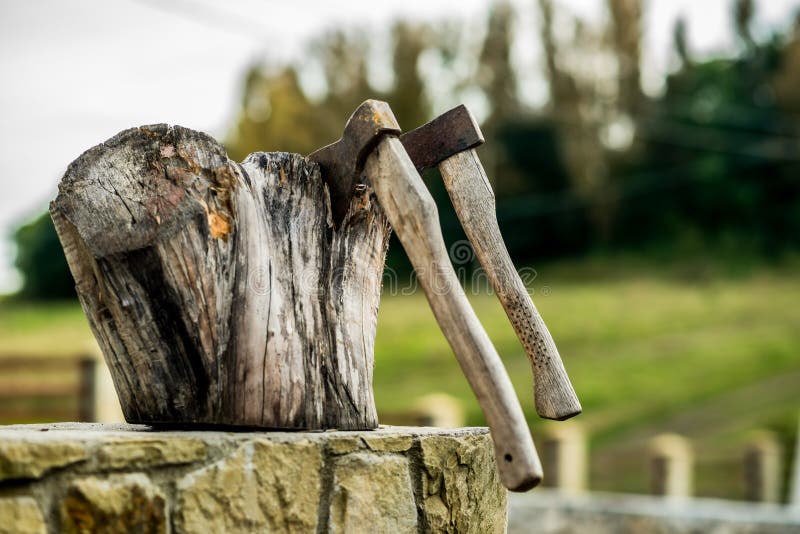 Two Ax, Hatchets in a Log on the Background of Green Grass Stock Image ...