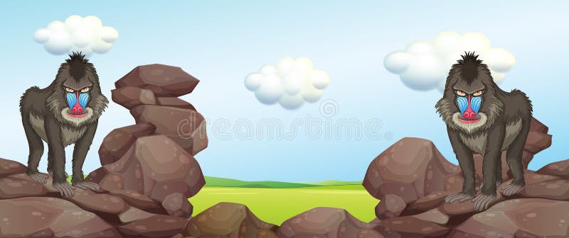 Two Baboons Standing on Rocks Stock Vector - Illustration of clipart ...