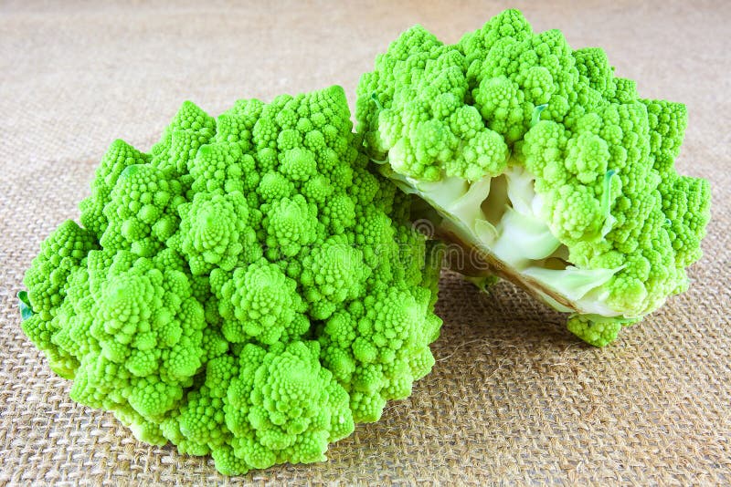 Baby Romanesco broccoli stock photo. Image of oleracea - 58771932