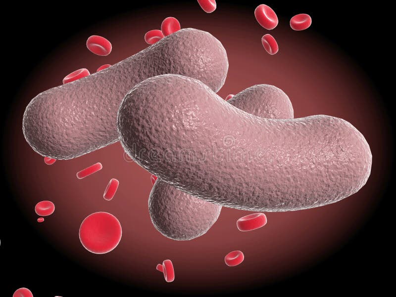 Two Bacteria from the Blood. Raster Stock Illustration - Illustration ...