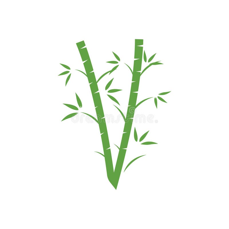 Two bamboo stalks stock vector. Illustration of symbol - 369504763