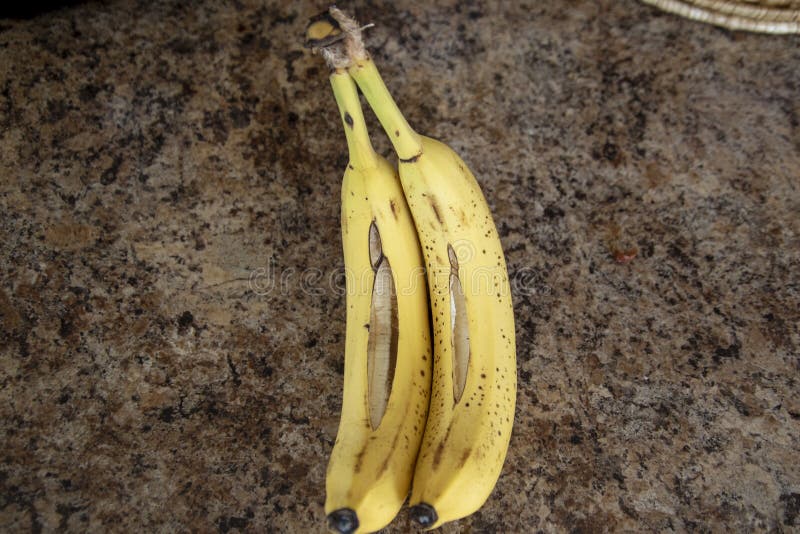 Two Bananas with Split Skins Stock Photo - Image of healthy, plant ...