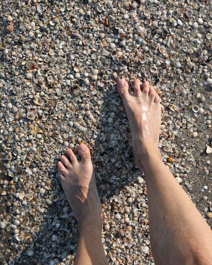 Bare Feet Walking Over a Carpet of Shells Stock Photo - Image of water ...