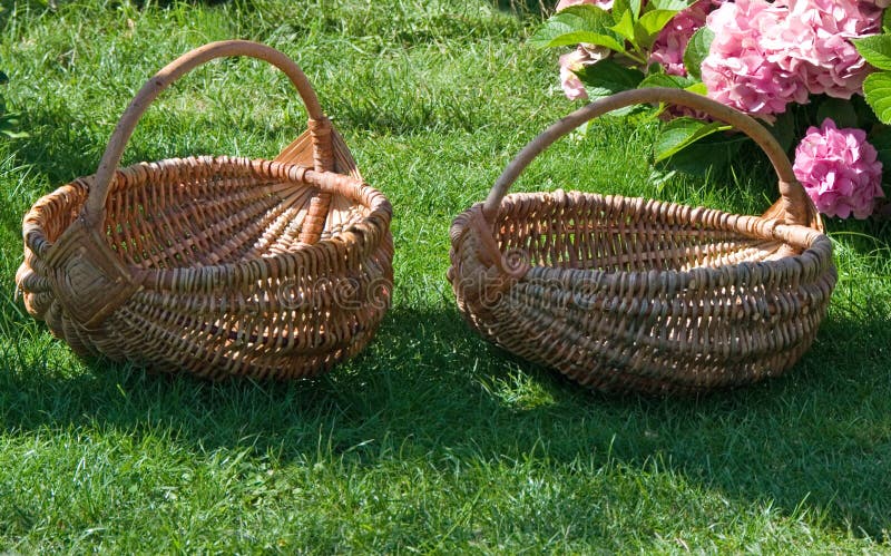 Two baskets stock image. Image of meadow, field, brown - 10863733