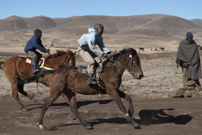 Two Basotho racing ponies editorial stock photo. Image of saddle - 18930838