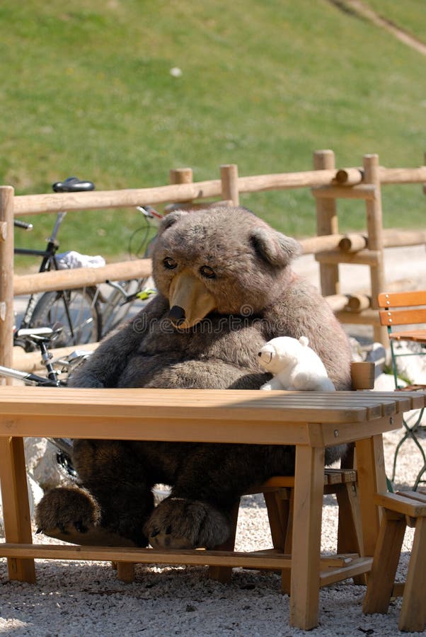 Two bears stock image. Image of hill, white, bear, plush - 2306977