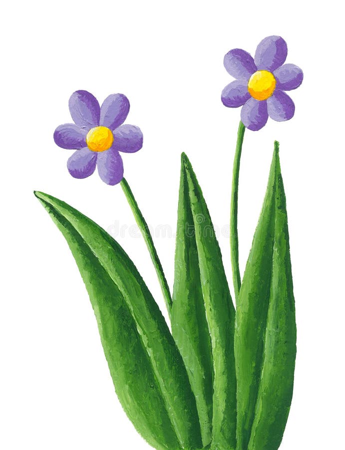 Two Beautiful Acrylic Purple Flowers Stock Illustration - Illustration ...