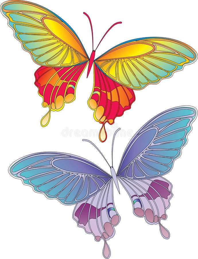 Colorful butterflies stock vector. Illustration of drawing - 2032182