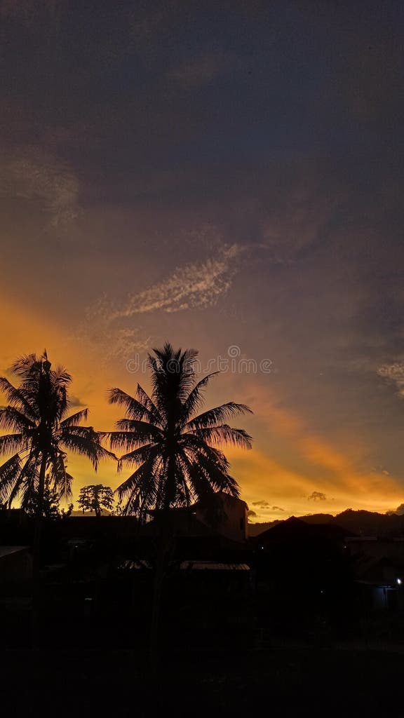 Two Beautiful Coconut Trees Behind the Setting Sun? Stock Image - Image ...