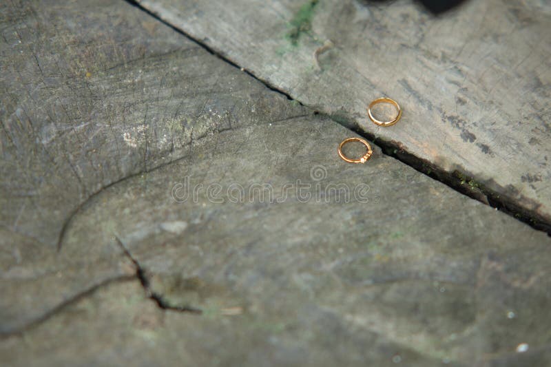 Two Beautiful Wedding Rings Stock Photo - Image of soil, beautiful ...