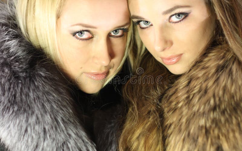 Beautiful brunette girl stock image. Image of brunette - 12683513