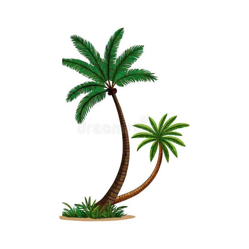 Two Beautiful Palm Trees on a Tropical Island. Stock Image - Image of ...