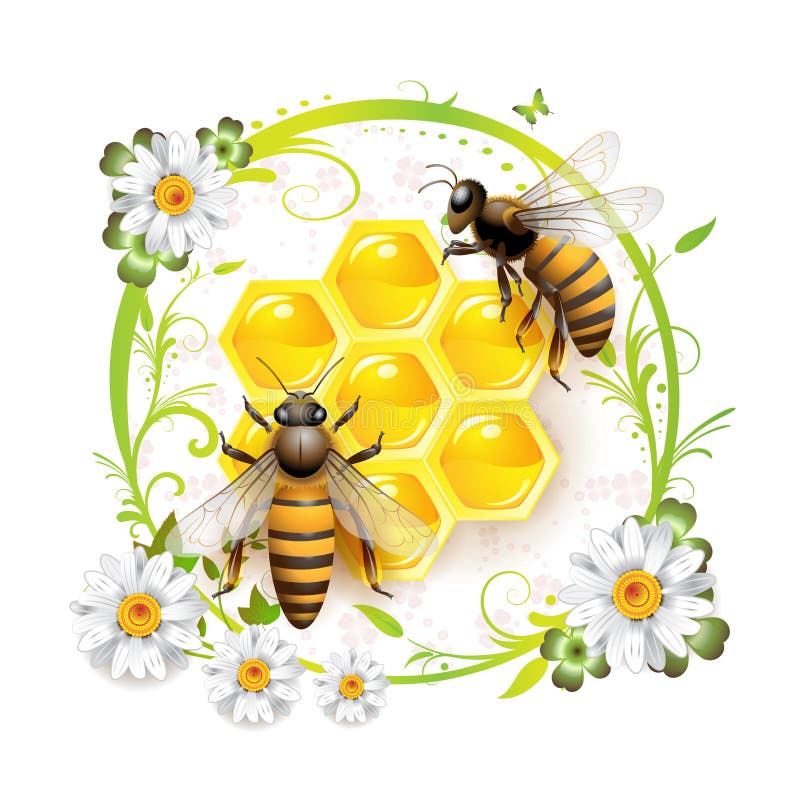 Two bees and honeycombs stock vector. Illustration of animated - 19109992