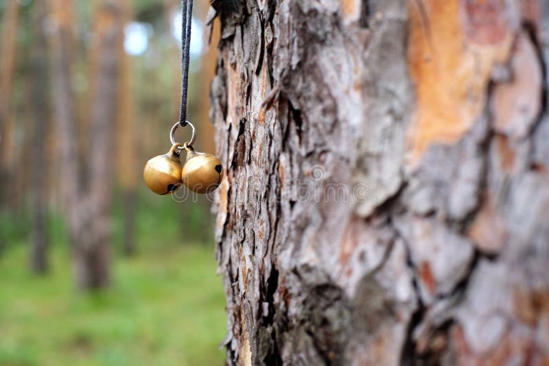 Two Bells on a String Talisman from the Evil Forces Decoration To Be ...