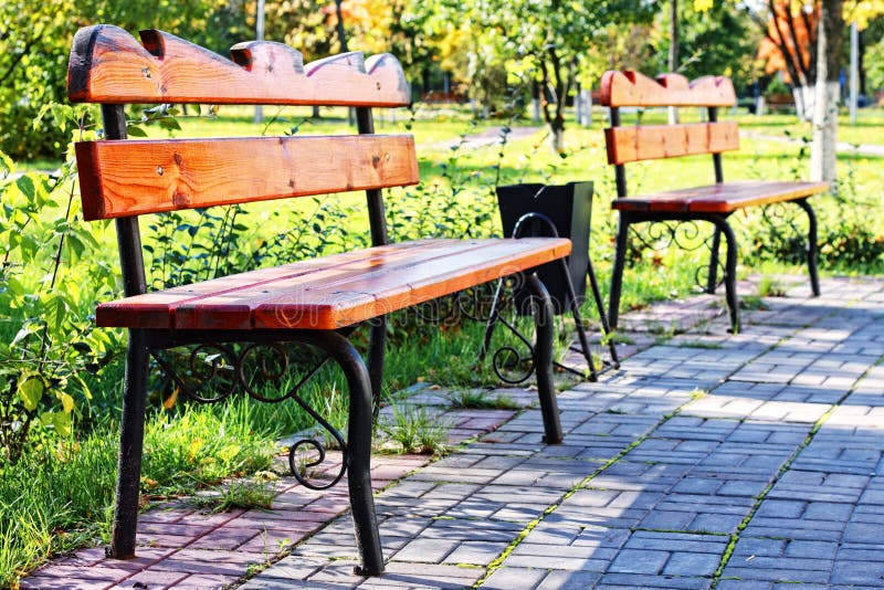 Two benches stock image. Image of yellow, grass, trees - 11182557