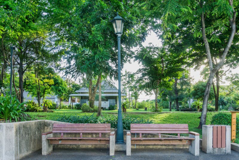 Two benches in the park stock photo. Image of still, nature - 54157260