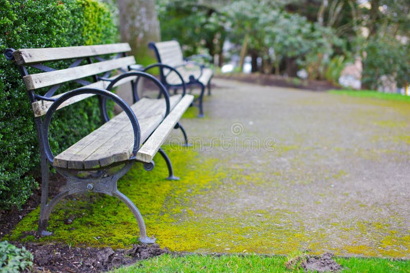 Two benches on patio stock photo. Image of chair, spring - 18454102