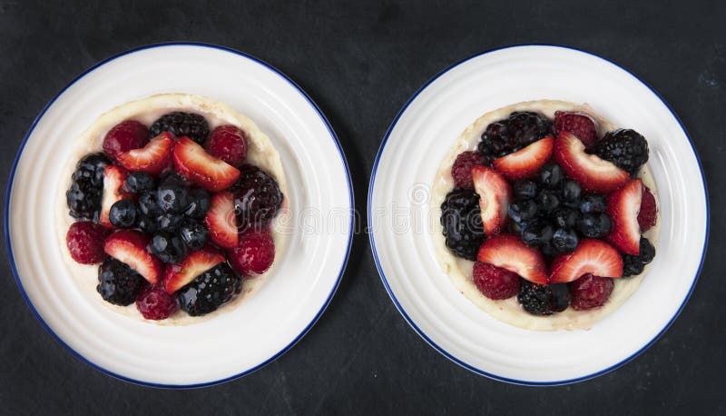 Two Berry Tarts stock photo. Image of sweet, mini, cake - 91302708