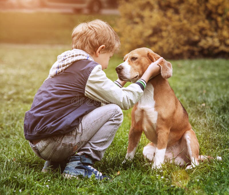 Two Best Friends - Boy and His Dog Stock Image - Image of person ...