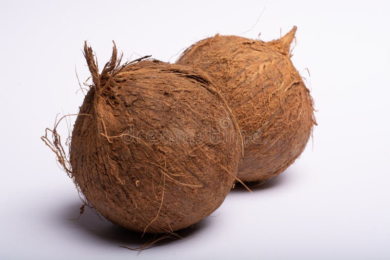 Two Big Brown Whole Coconuts Close Up Copy Space on Whi Stock Photo ... Two Big Brown Whole Coconuts Close Up Copy Space on Whi Stock Photo ...