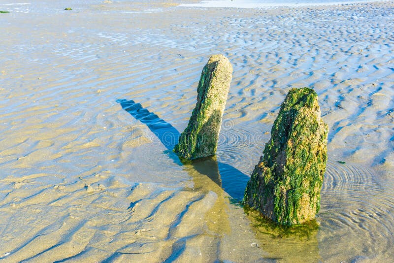 Two Big Rocks Covered in Seaweed on the Beach Ocean Landscape Stock ...