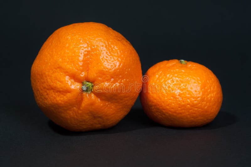 Two Big and Small Tangerine on Black Background Stock Image - Image of ...