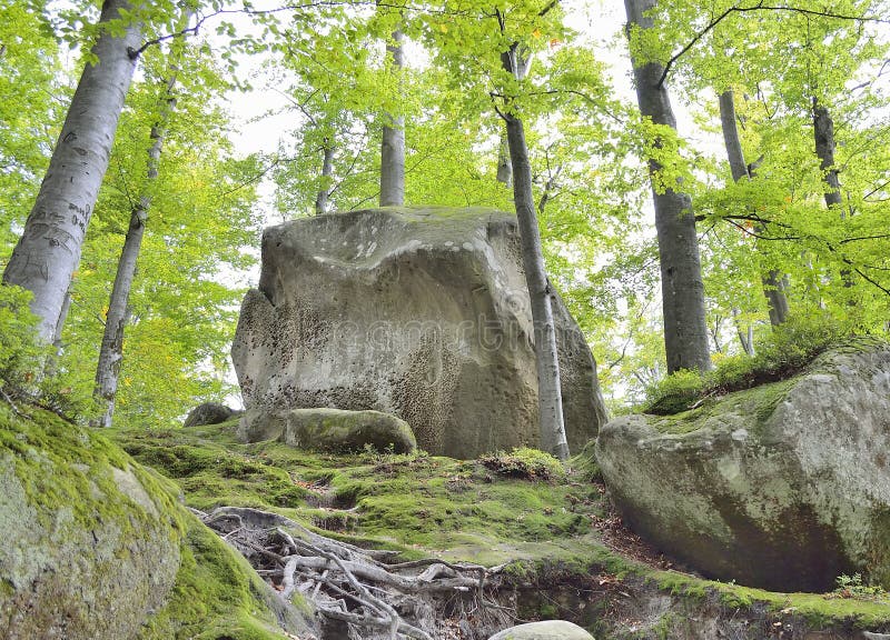 Two big stones stock photo. Image of gray, leaves, green - 29839362