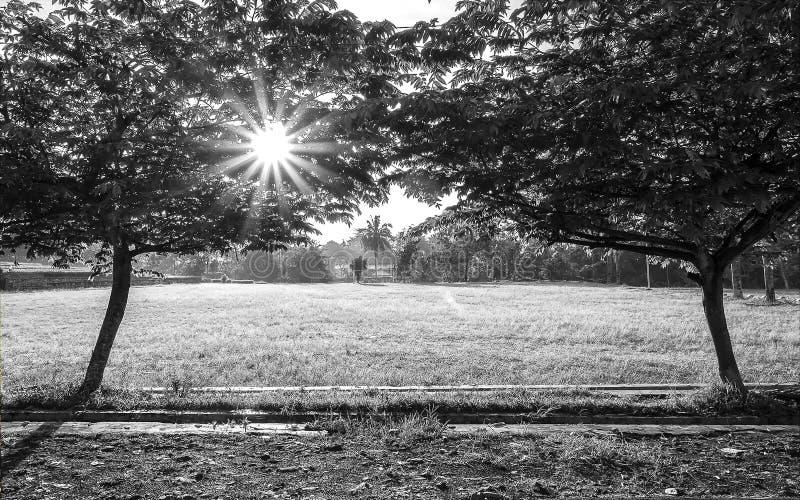 Two Big Trees in Left and Right, Stock Image - Image of life, farming ...