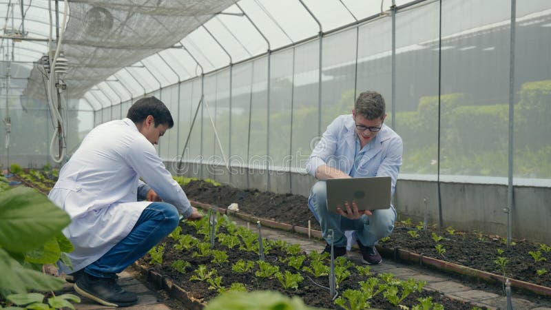 Two Biotechnology Man Engineer Holding Magnifying Glass and Looking at the Stock Image - Image ...