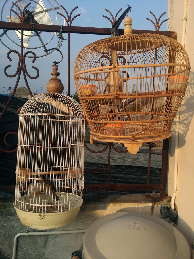 Two Bird Cages Being Dried in the Morning Stock Image - Image of ...