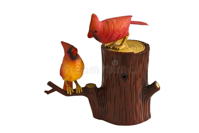 Two Birds Each-other Looking on a Tree Branch Stock Photo - Image of ...