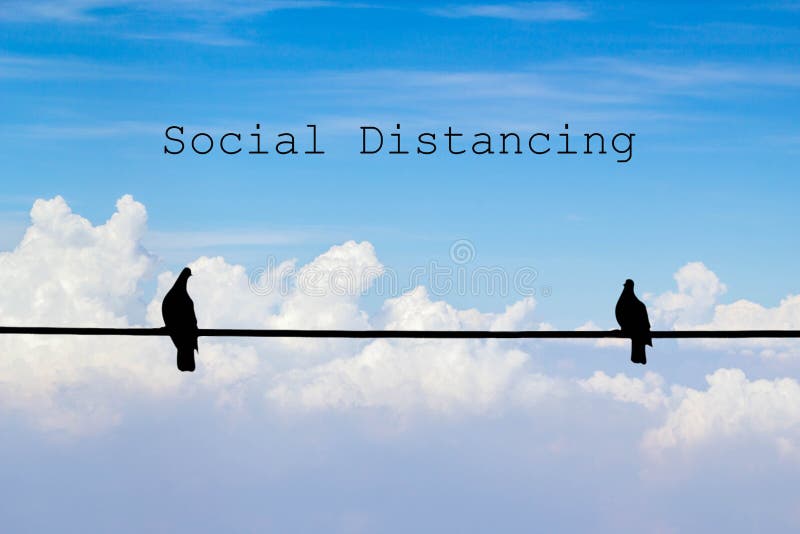 Two Birds on Electricity Wire Stock Image - Image of bird, climate ...