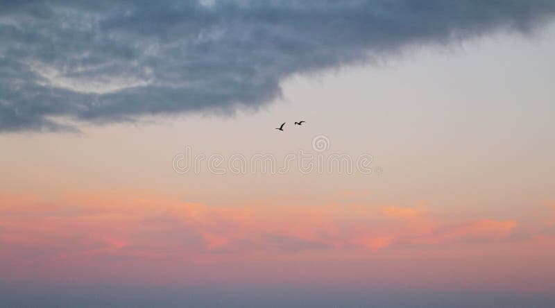 Two Birds Flying Under the Clouds at Sunset Stock Image - Image of ...
