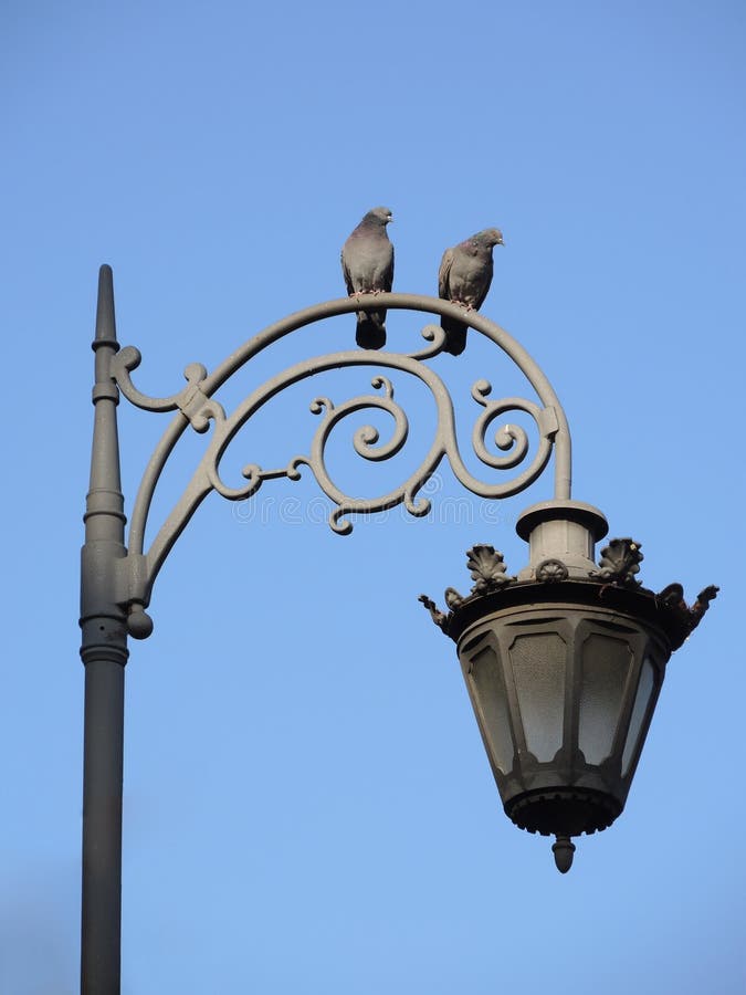 Two Birds on street lamp stock image. Image of black - 81005659